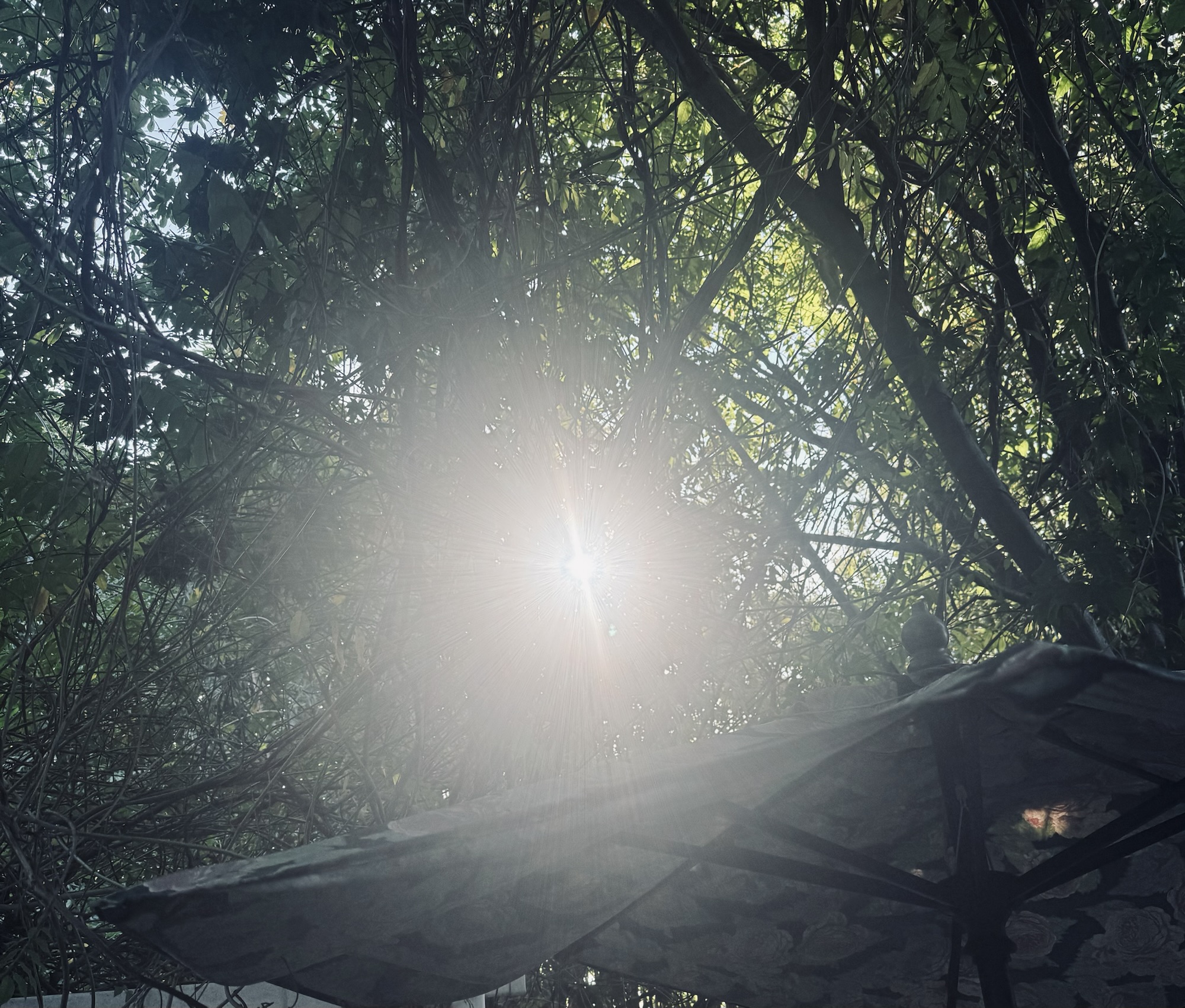 The Rising of The Sun